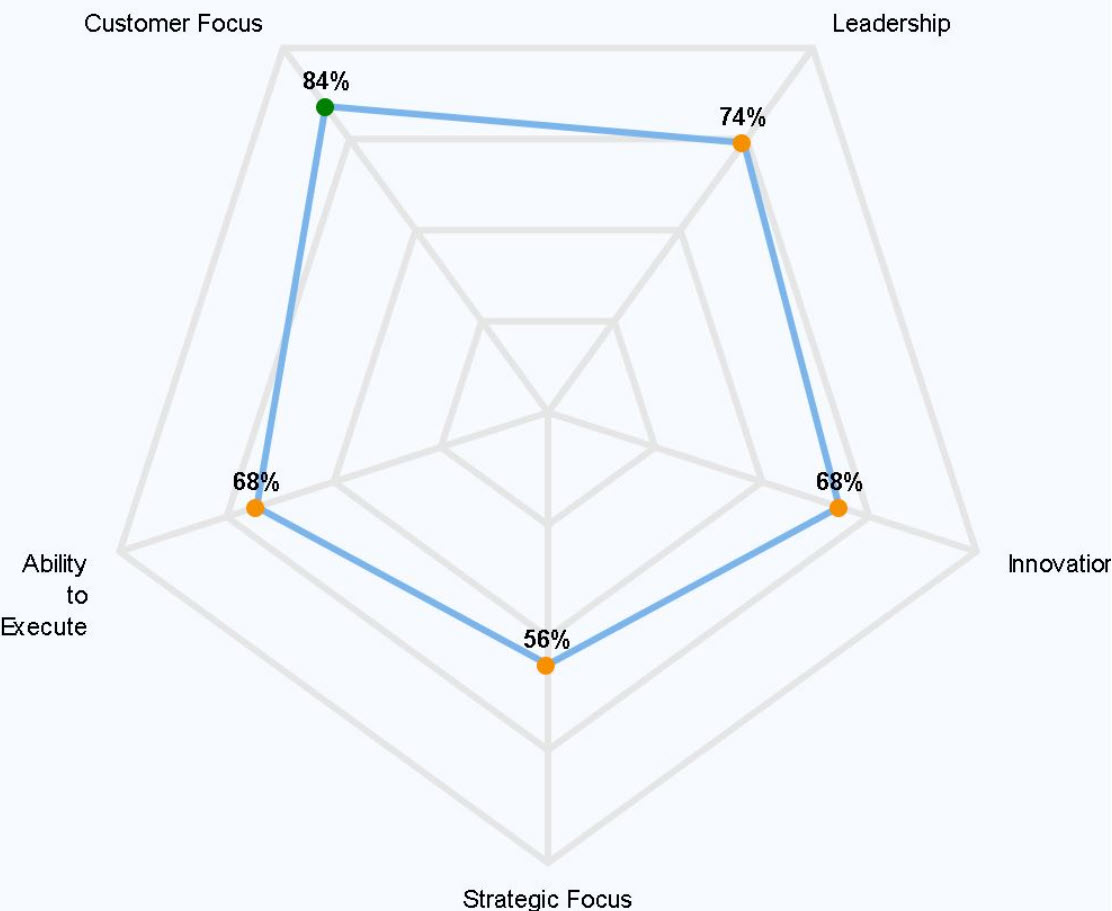 Spider Charts – Brilliant Assessments