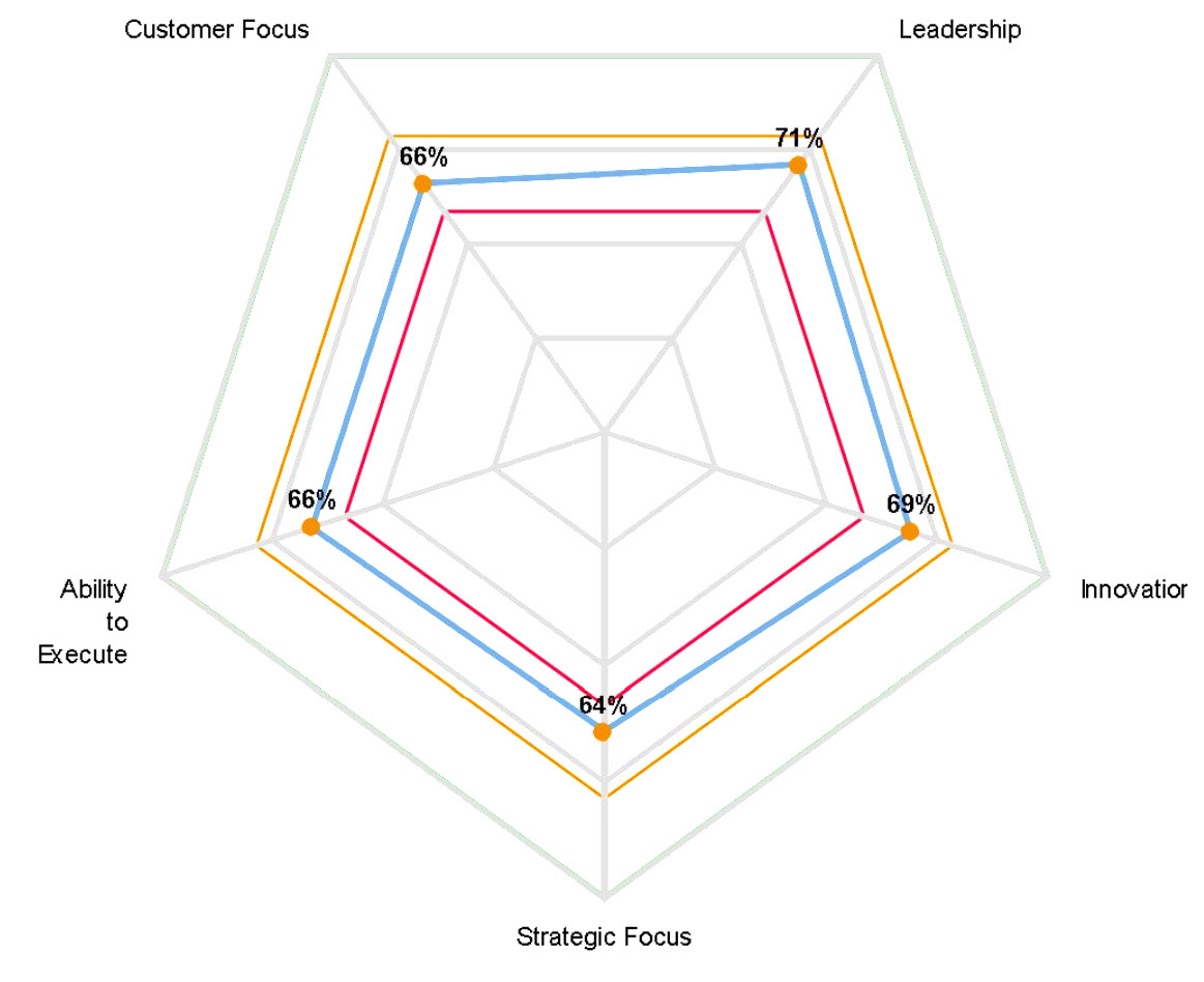 Spider Charts – Brilliant Assessments