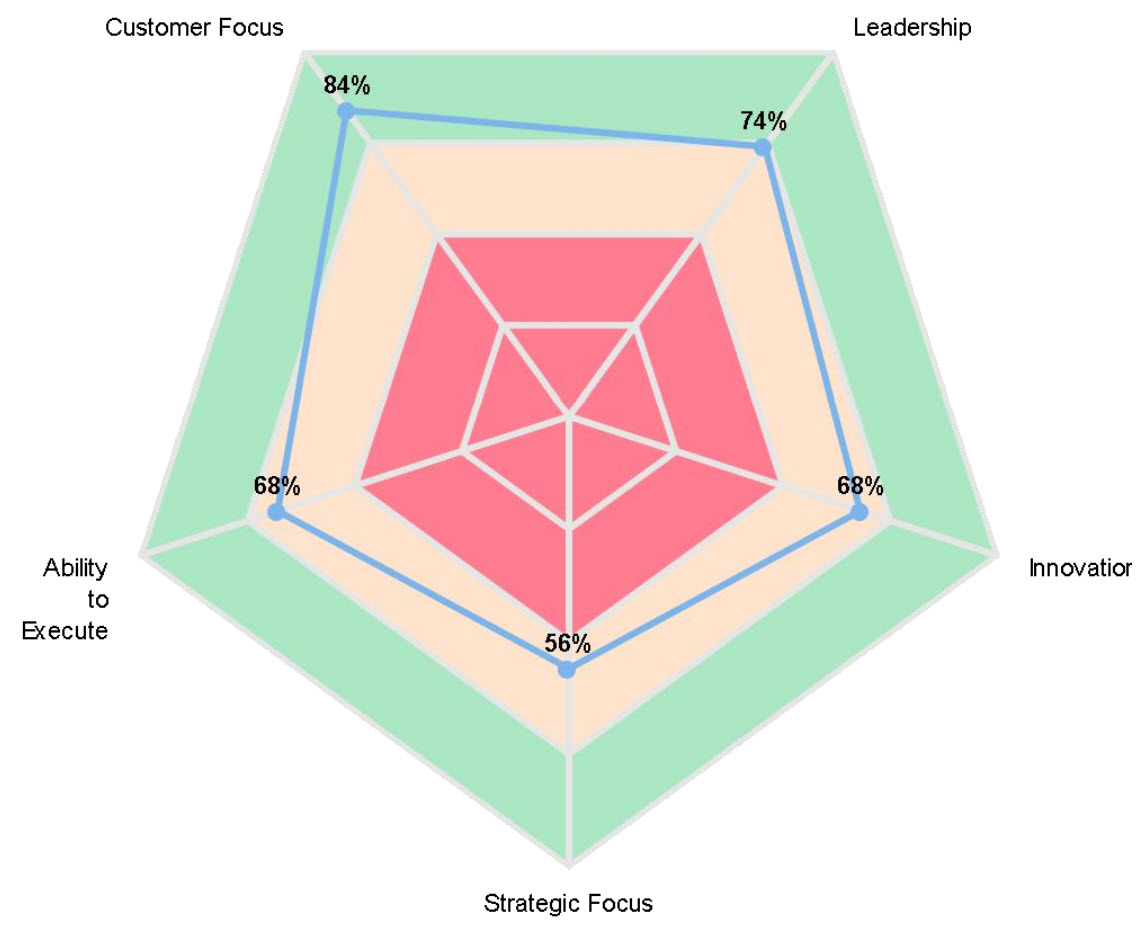 Spider Charts – Brilliant Assessments