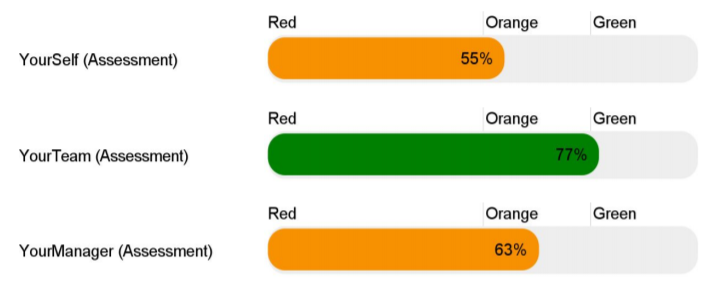 Single Horizontal Bar (Progress Bar) – Brilliant Assessments
